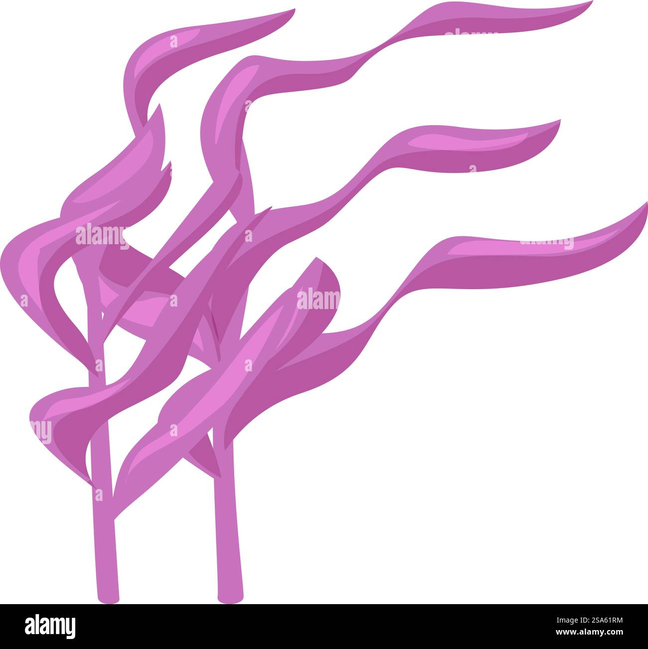 Pink seaweed swaying gracefully in the ocean current. Pink seaweed ...