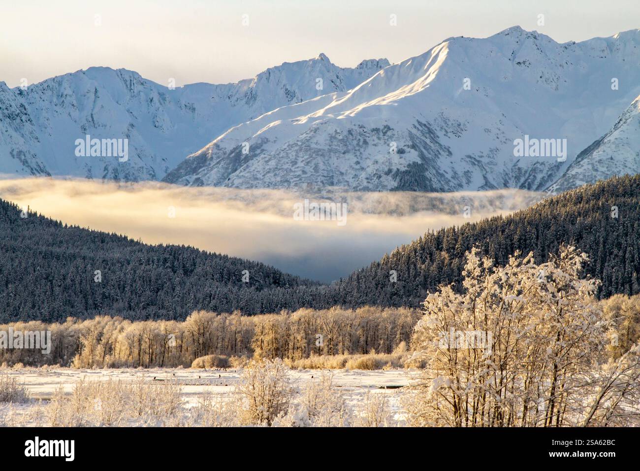 USA, Alaska, Chilkat River Valley. Mountain and valley landscape in ...