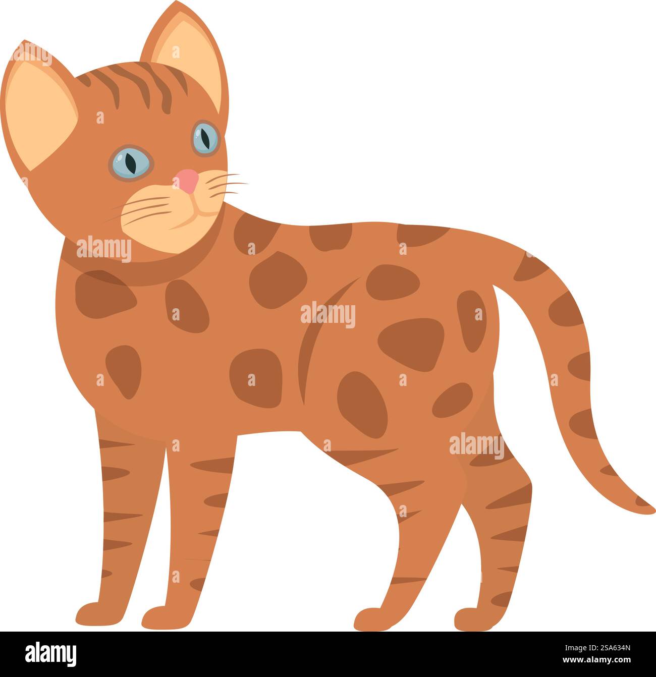 Spotted orange and black bengal cat standing and looking to the side ...