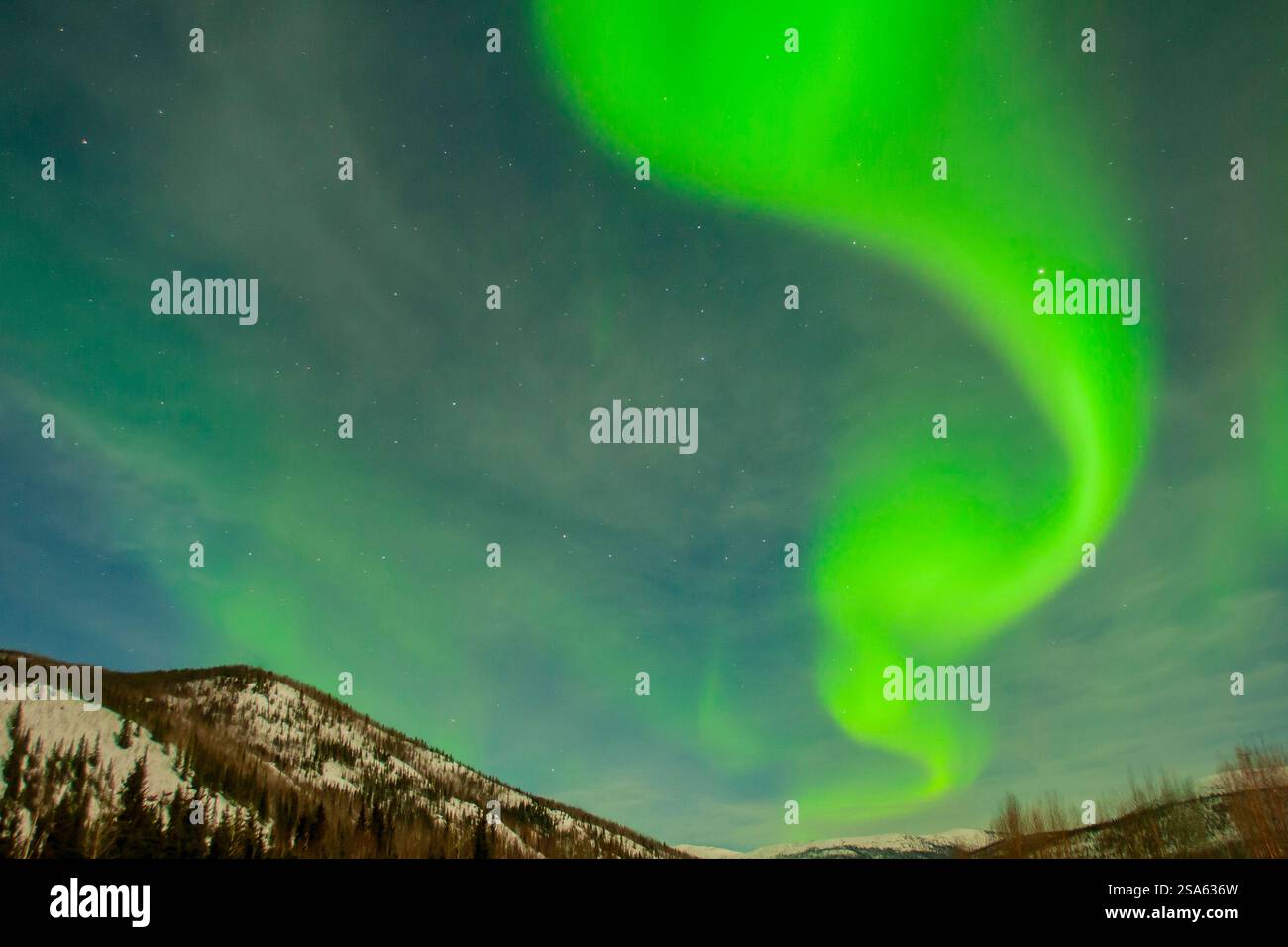 USA, Alaska, Chena Hot Springs Resort. Aurora borealis and stars in ...