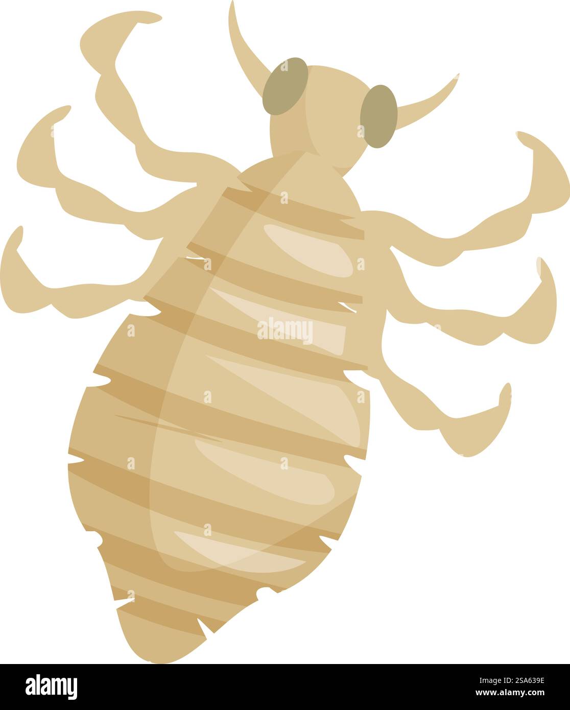 Louse insect spreading disease through touching, dangerous parasite ...