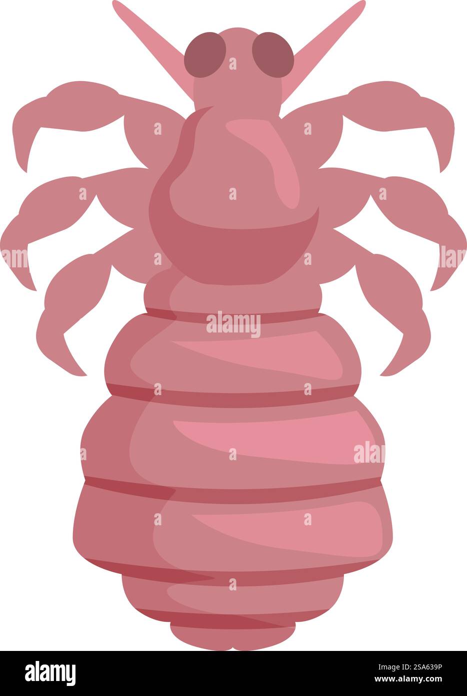 Body louse insect crawling on a skin surface Stock Vector Image & Art ...