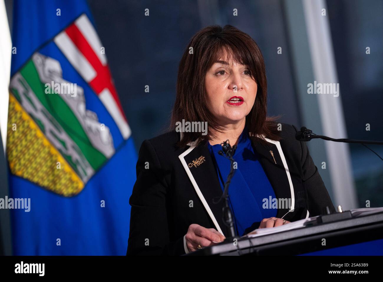 Calgary, Canada. 21st Dec, 2023. Adriana LaGrange, Minister of Health ...