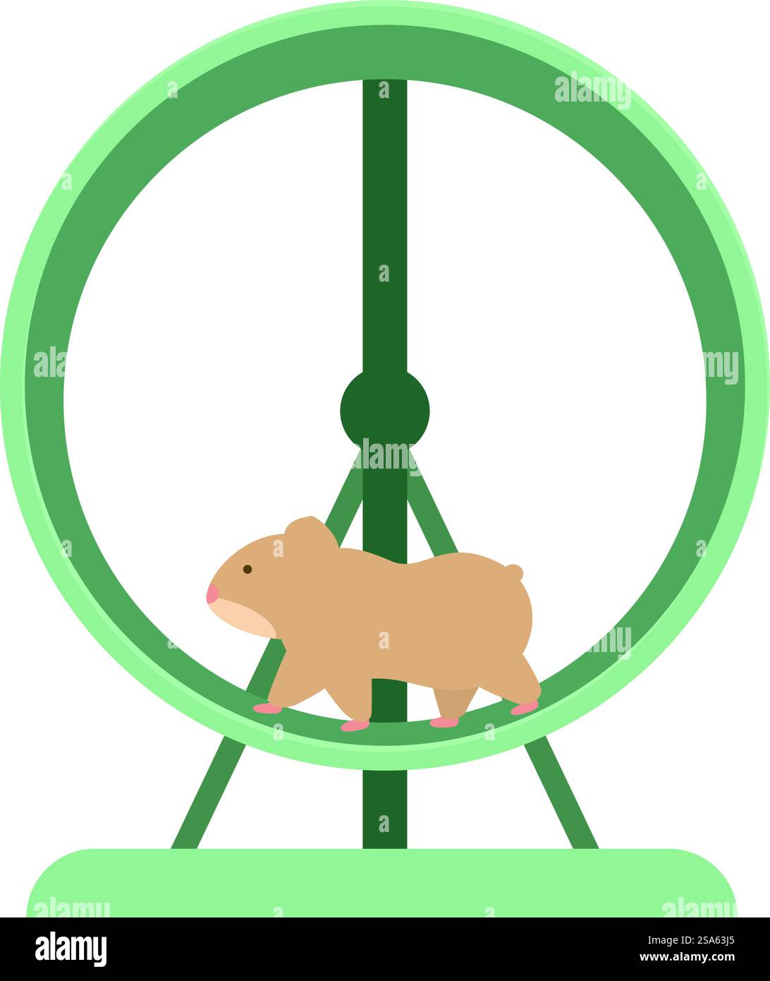 Brown hamster is running in its green spinning wheel. Cute hamster ...