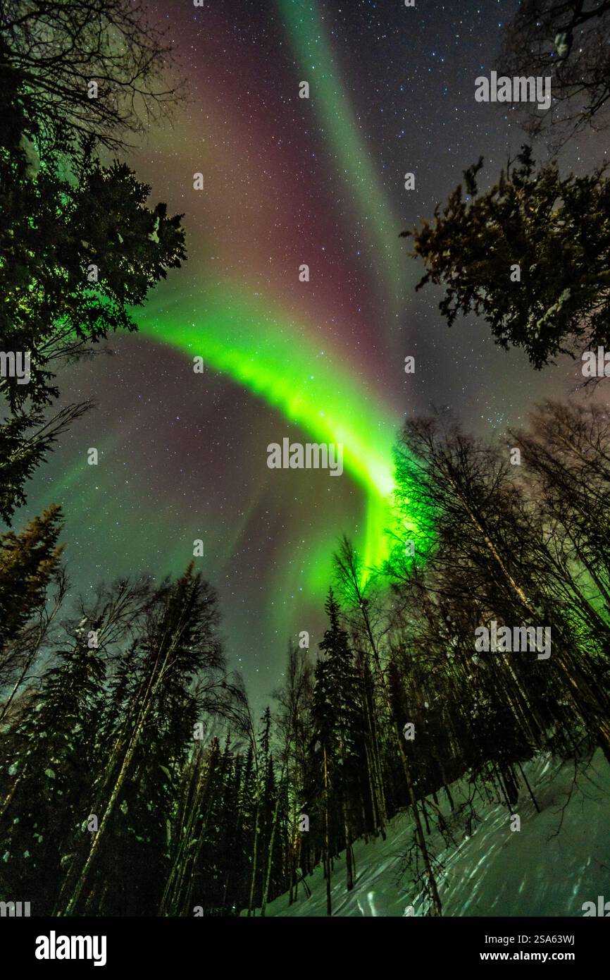 USA, Alaska, Fairbanks. Northern lights and stars Stock Photo - Alamy