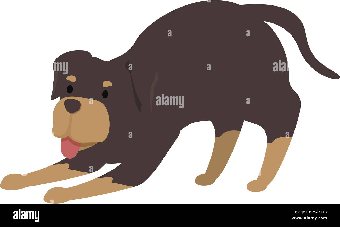 Happy rottweiler dog stretching its body on the floor, playful animal ...