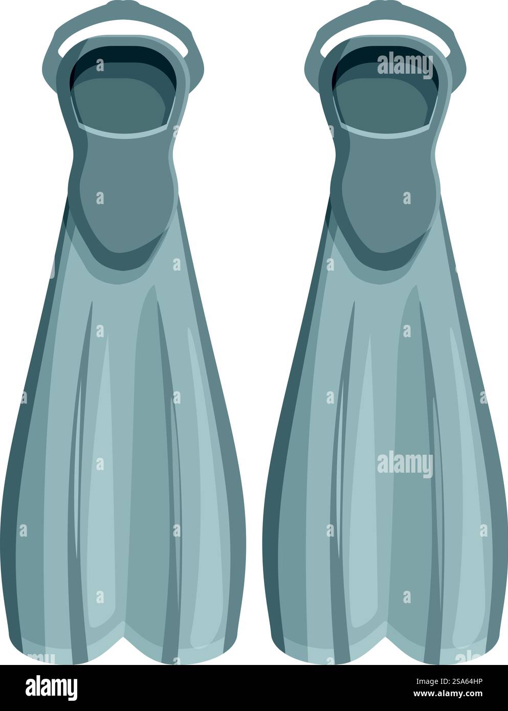 Pair of gray diving flippers, essential equipment for scuba diving and ...