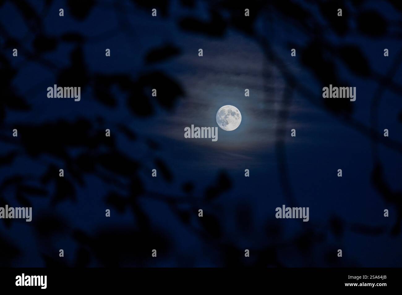 Full beaver moon in hi-res stock photography and images - Alamy