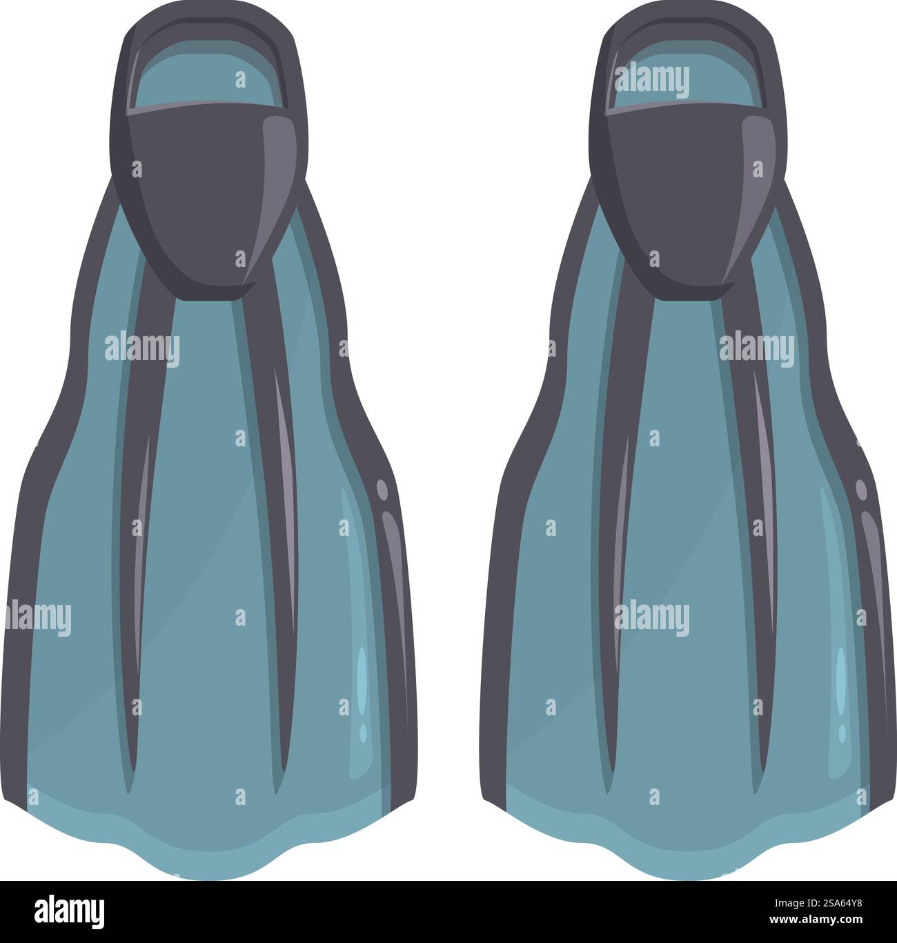 Pair of blue diving fins for professional divers, swimming equipment ...