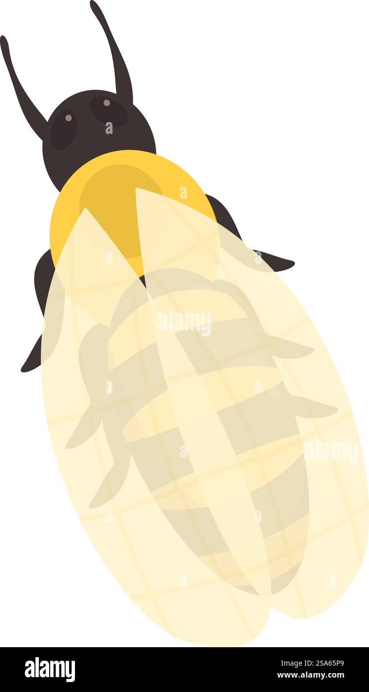 Translucent animal Cut Out Stock Images & Pictures - Alamy