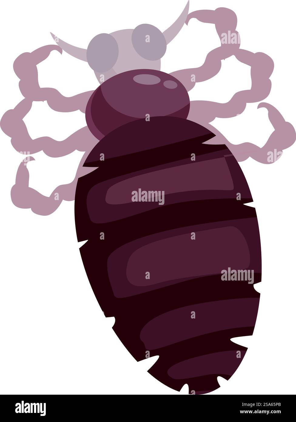 Louse insect spreading infection through bloodsucking on skin ...