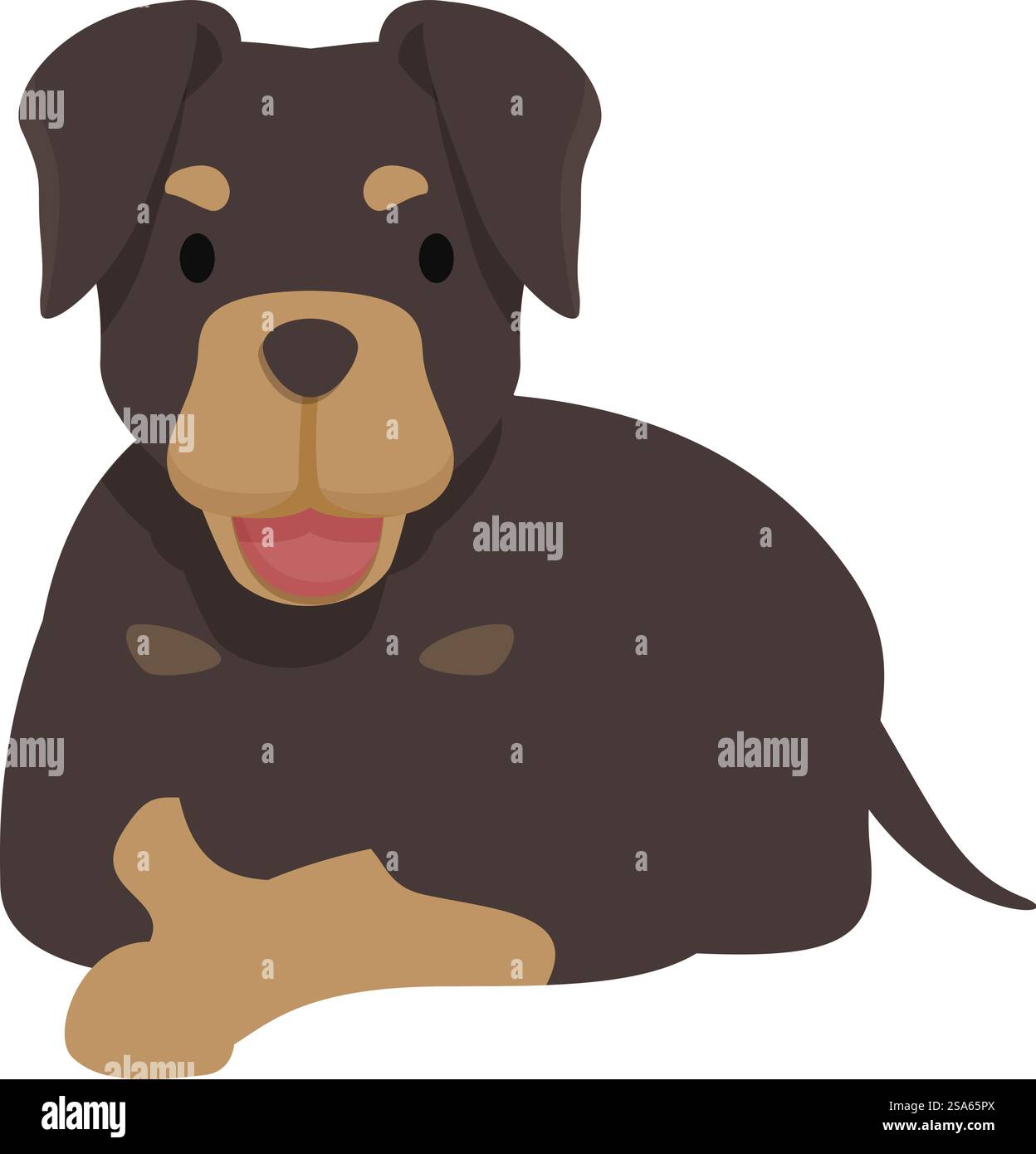 Happy rottweiler puppy dog with short tail lying down, resting, and ...