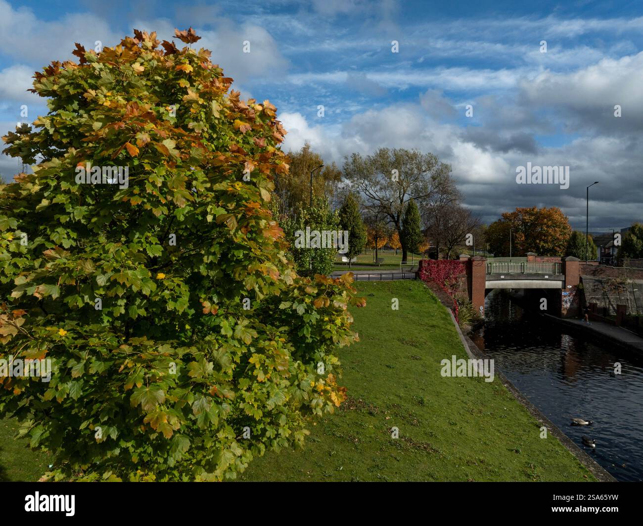 Downtown canal season hi-res stock photography and images - Alamy