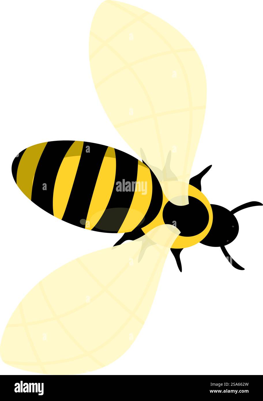 Simple cartoon style illustration of a bee flying with spread wings ...