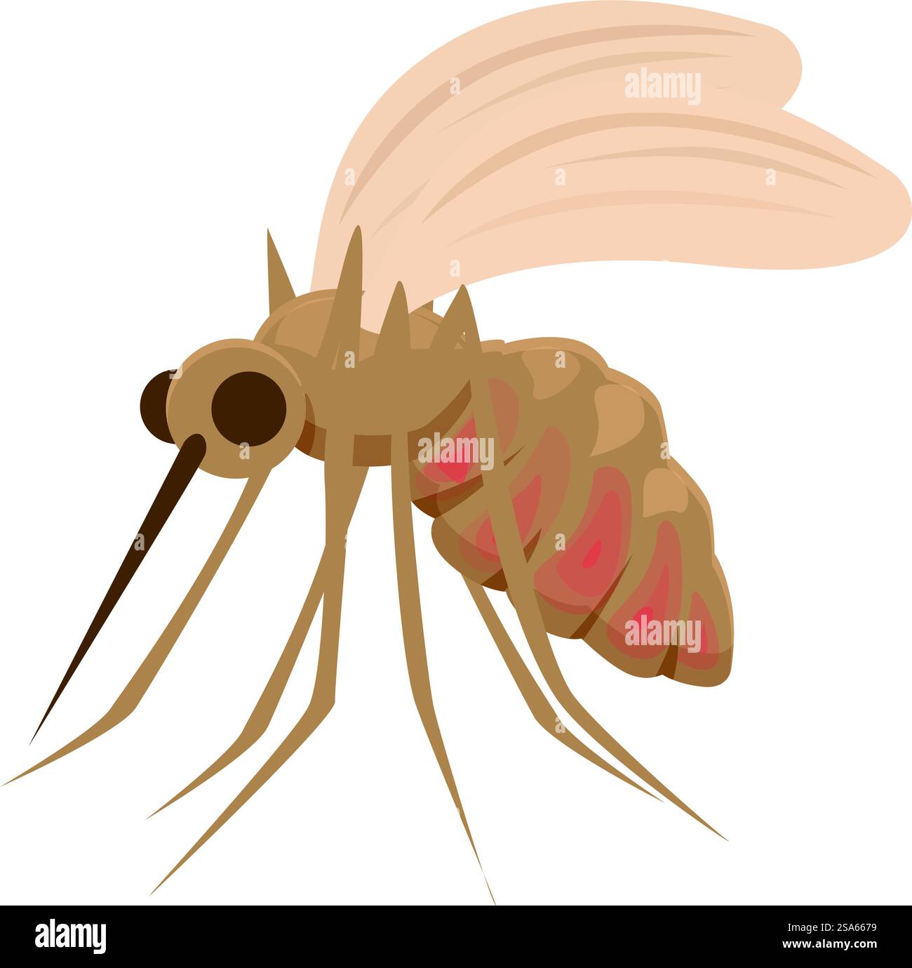 Mosquito spreading malaria disease while biting a human and sucking ...