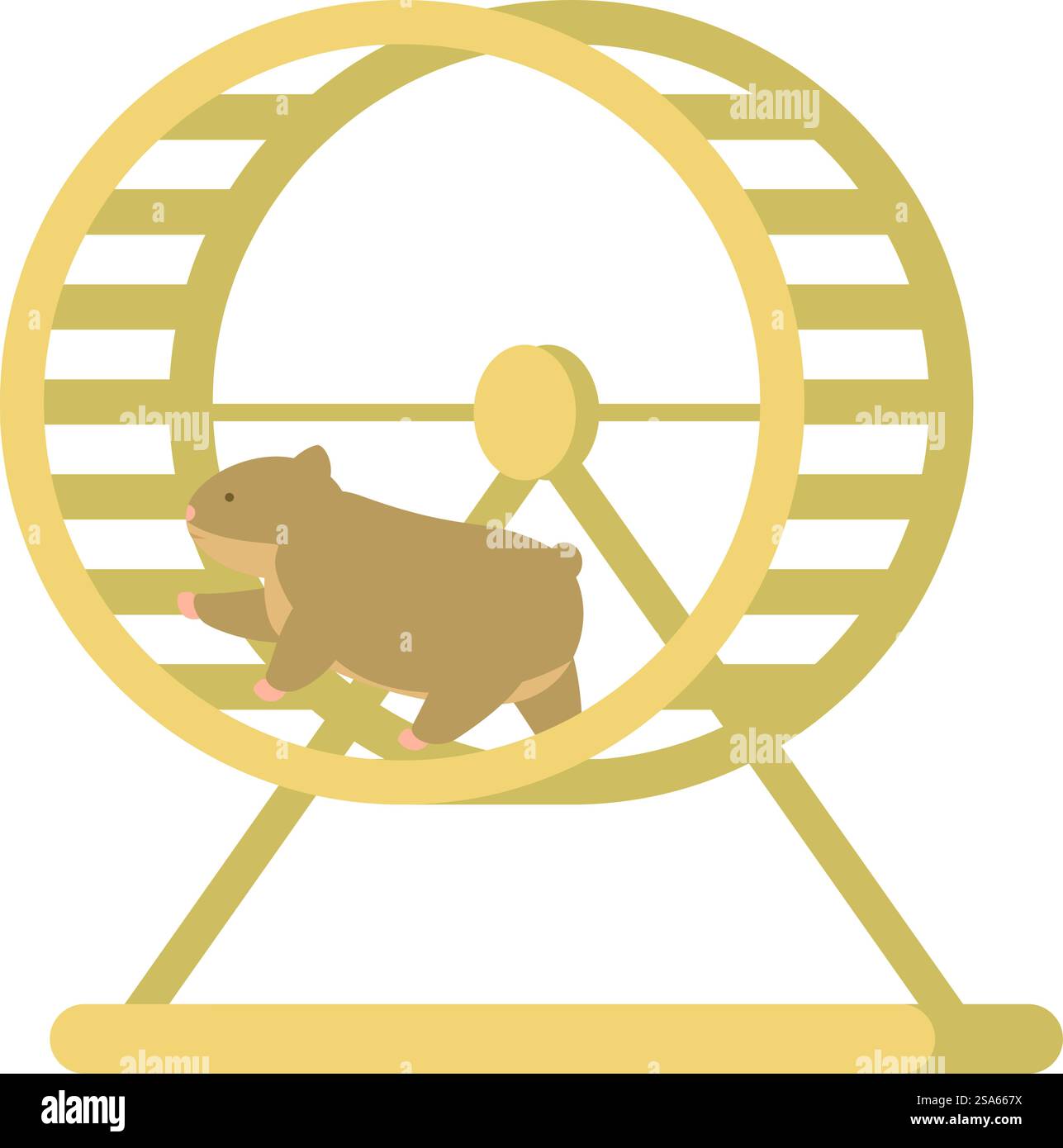 Brown hamster is having fun running inside a spinning wheel toy. Cute ...