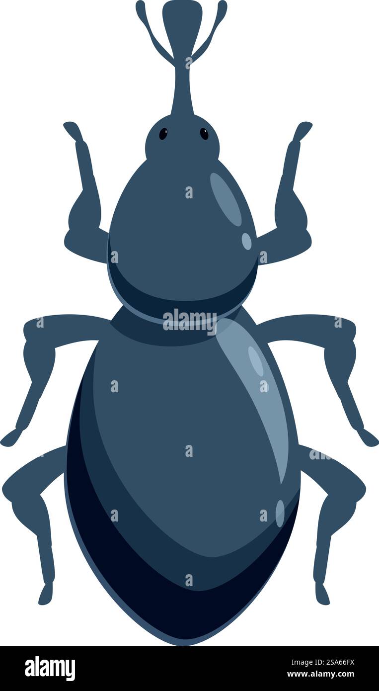 Big grey beetle standing on six legs with long antennae hi-res stock ...