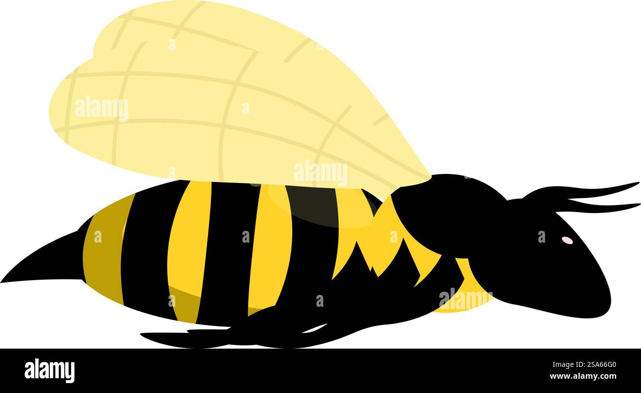 Cartoon bee flapping its wings hi-res stock photography and images - Alamy