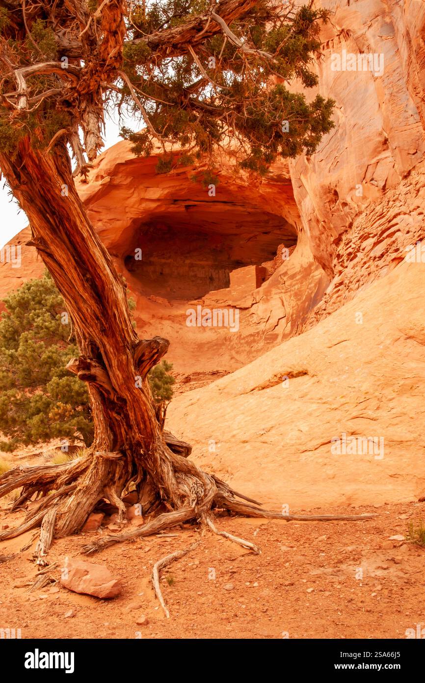 USA, Arizona, Monument Valley Navajo Tribal Park. Square House ruin ...