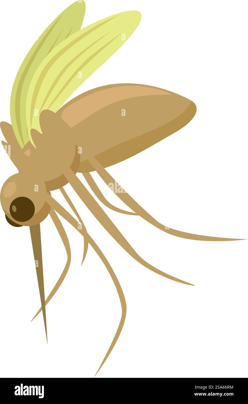 Mosquito is flying, prepared to spread the malaria disease. Mosquito ...