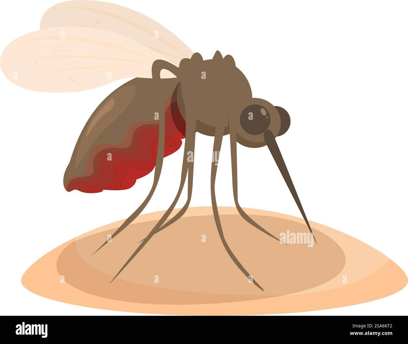 Mosquito standing on human skin and sucking blood, dangerous insect ...