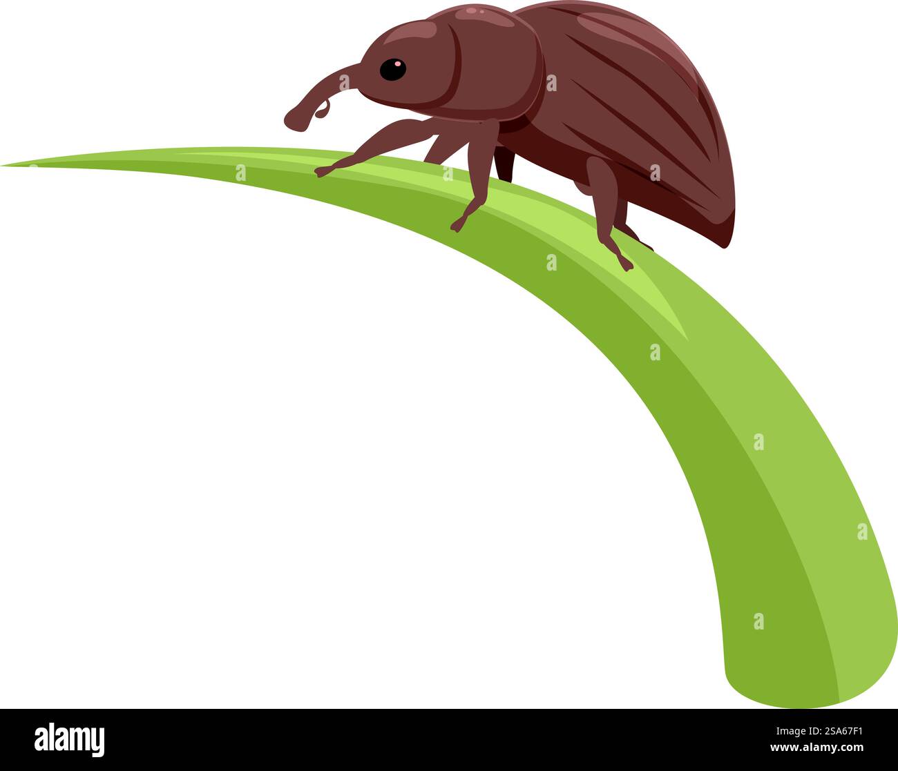 Simple cartoon illustration of a brown weevil walking on a green grass ...