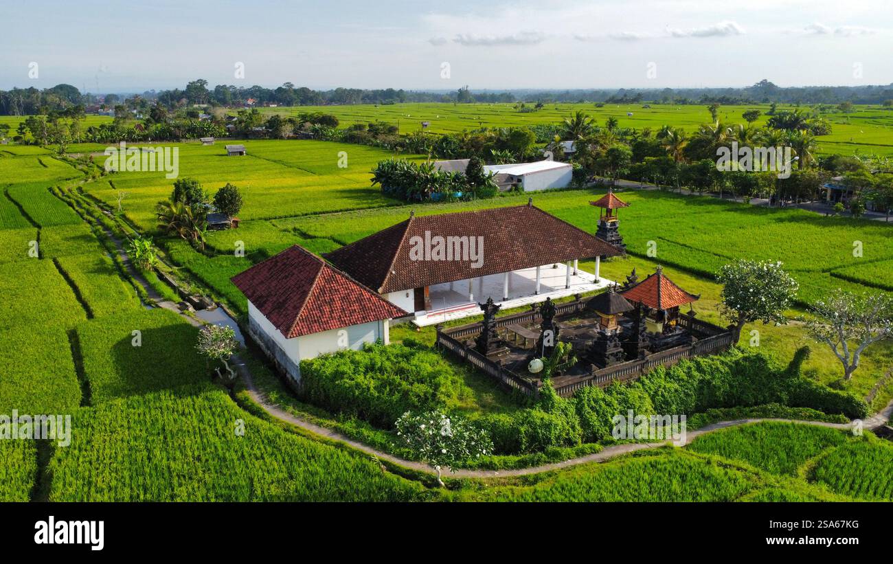 The famous rice fields of Bali, Indonesia, seen from above Stock Photo ...