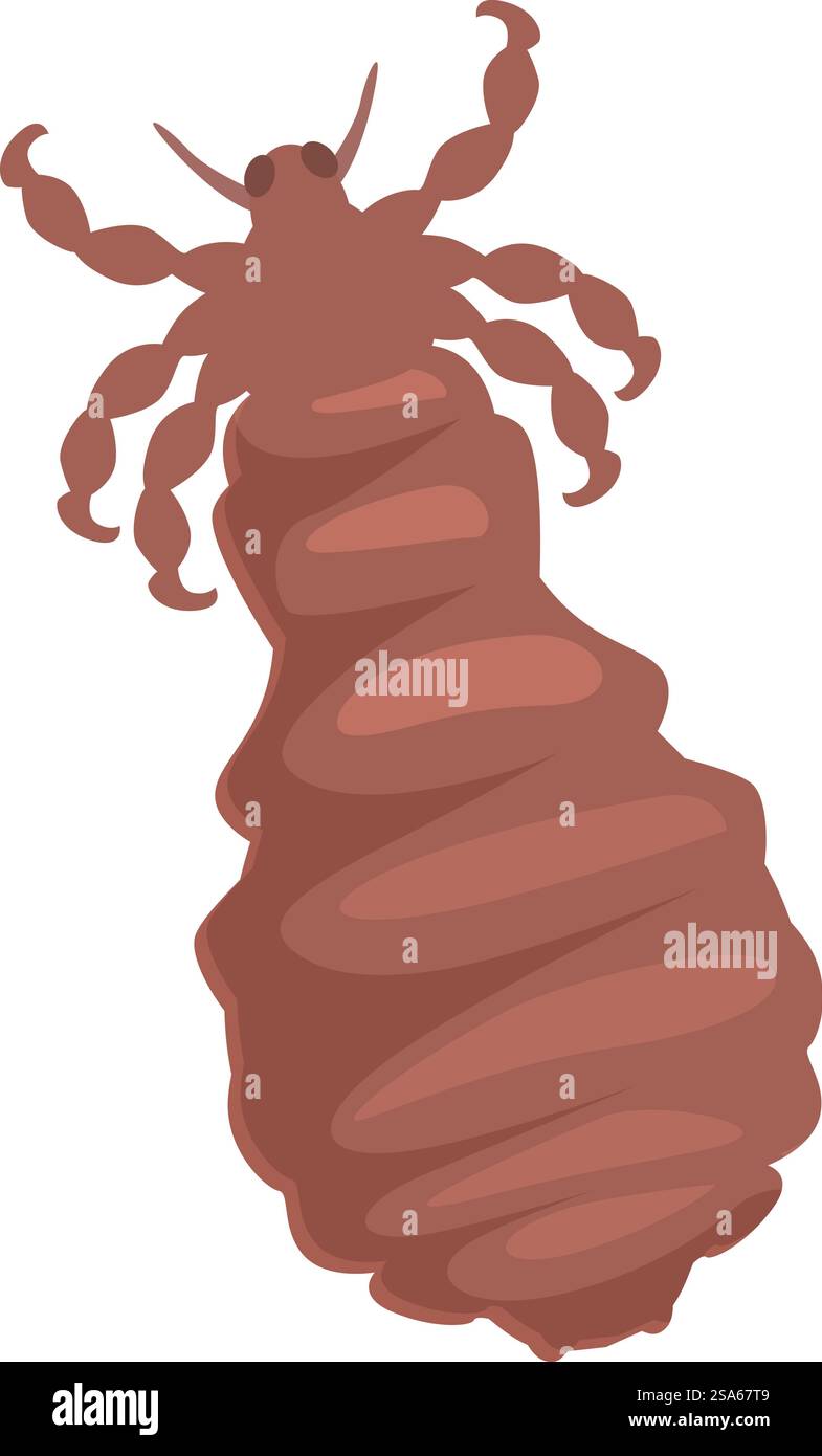 Louse insect parasite spreading disease through bloodsucking, nasty ...