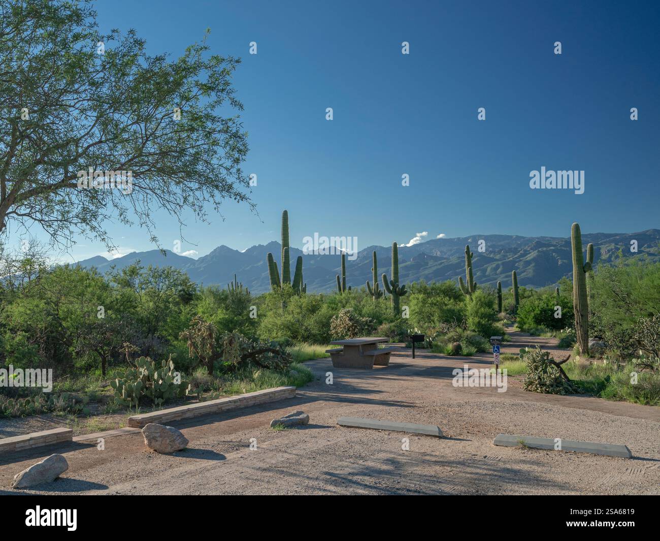 Parking and picnic area at Mica View in Saguaro National Park East view ...