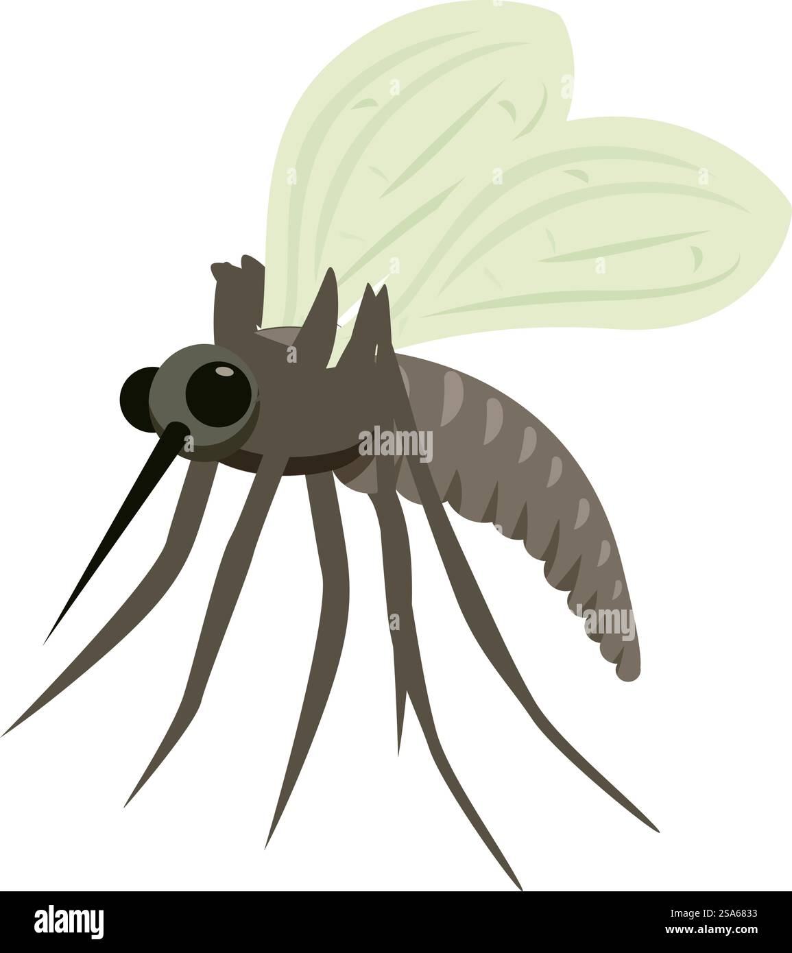 Mosquito flying spreading malaria zika dengue and other diseases ...