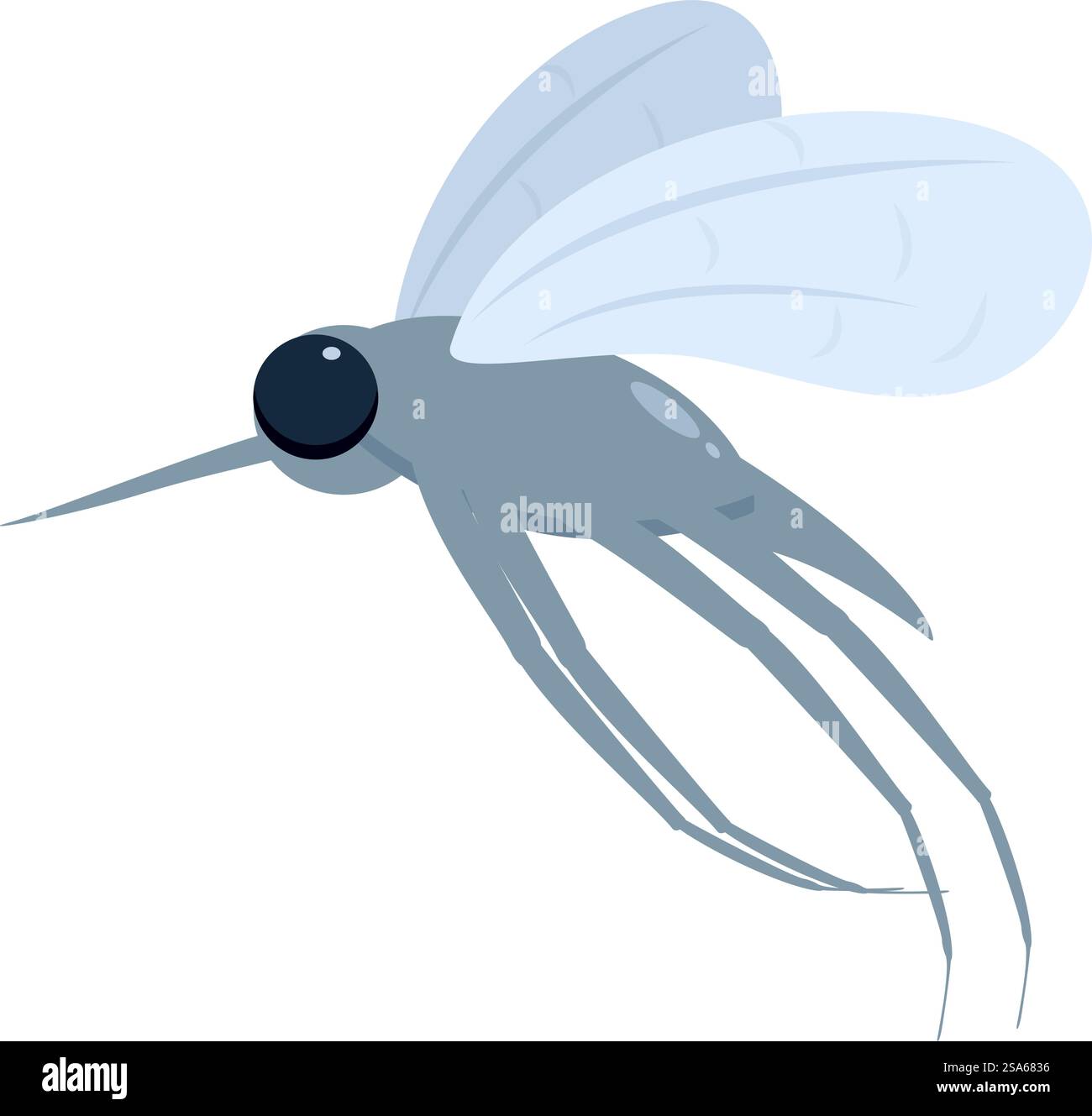 Grey mosquito flying and spreading malaria virus. Grey mosquito flying ...