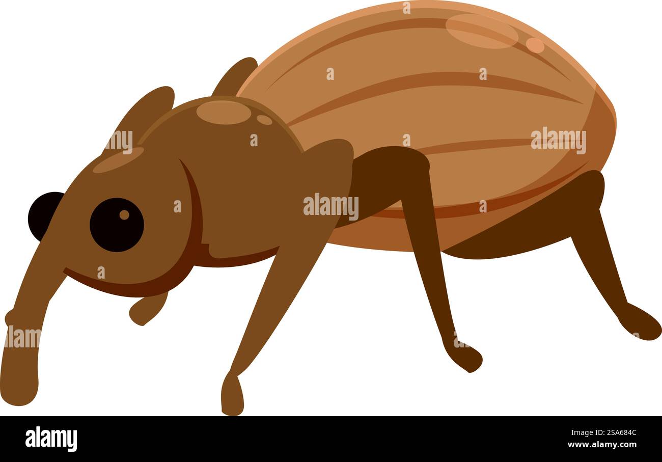 Brown weevil is crawling on the ground, its long nose and legs clearly ...
