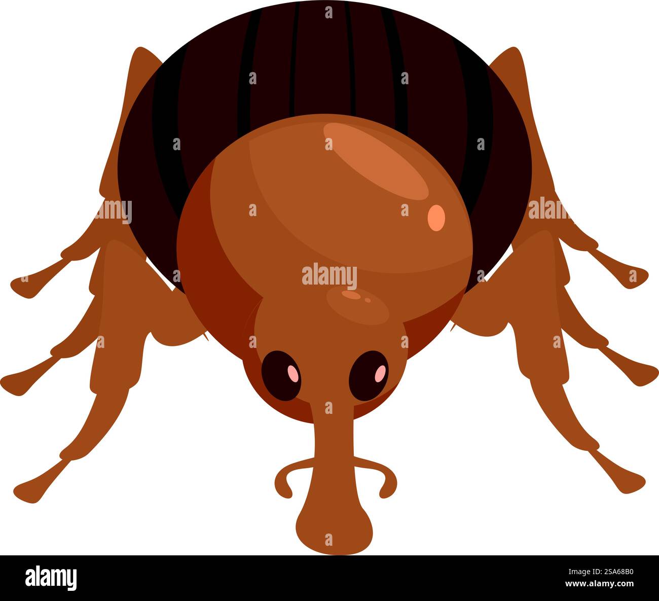 Illustration of a brown weevil walking with its head down. Brown weevil ...