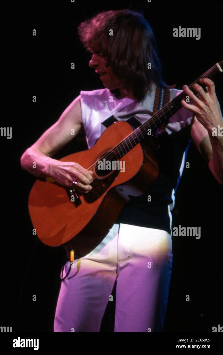 Steve Howe of the band YES in concert in 1981 Credit: MPIRR/ MediaPunch ...