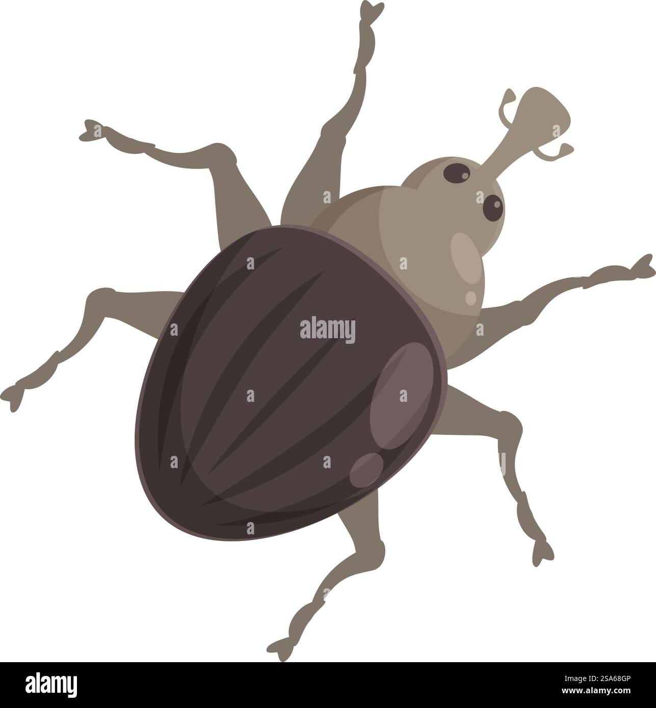 Large gray beetle with a segmented body and long legs is standing ...