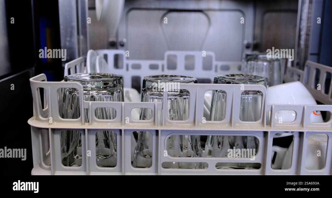 A dishwasher in black gloves removes a clean plate from the dishwasher ...