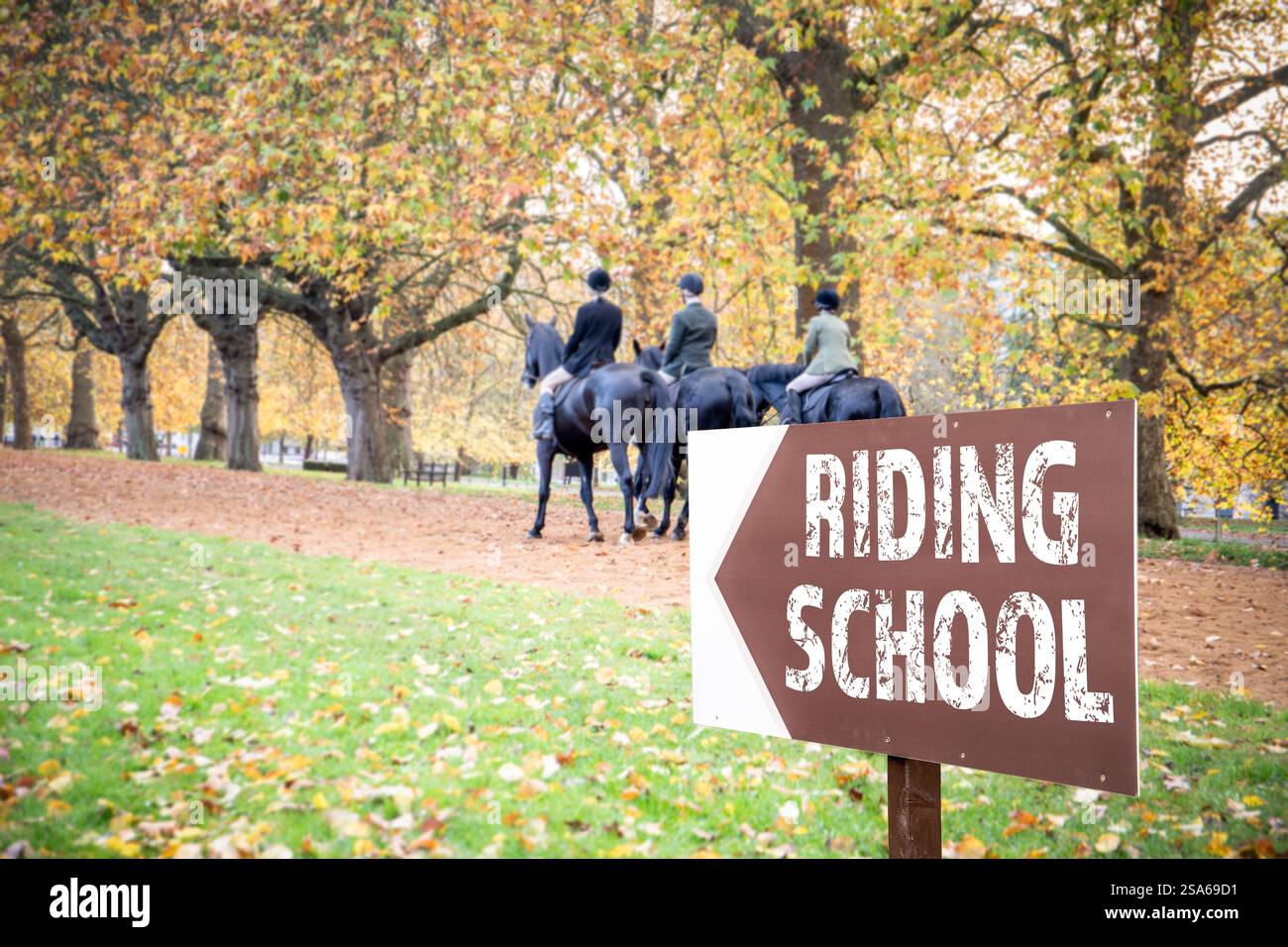 Riding School. Riders and black horses in the city park Stock Photo - Alamy