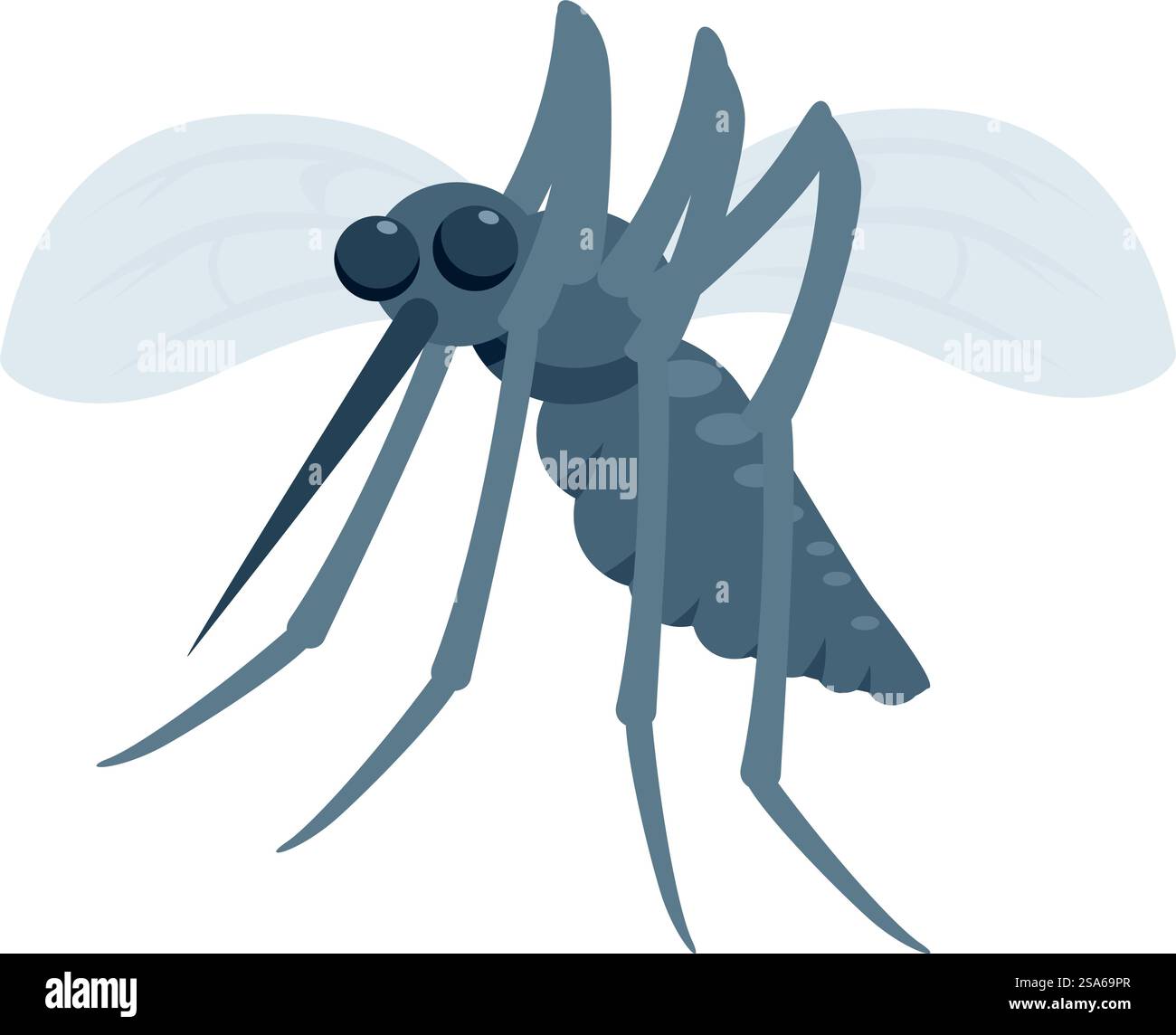 Grey mosquito with big eyes and long legs is flying and spreading ...