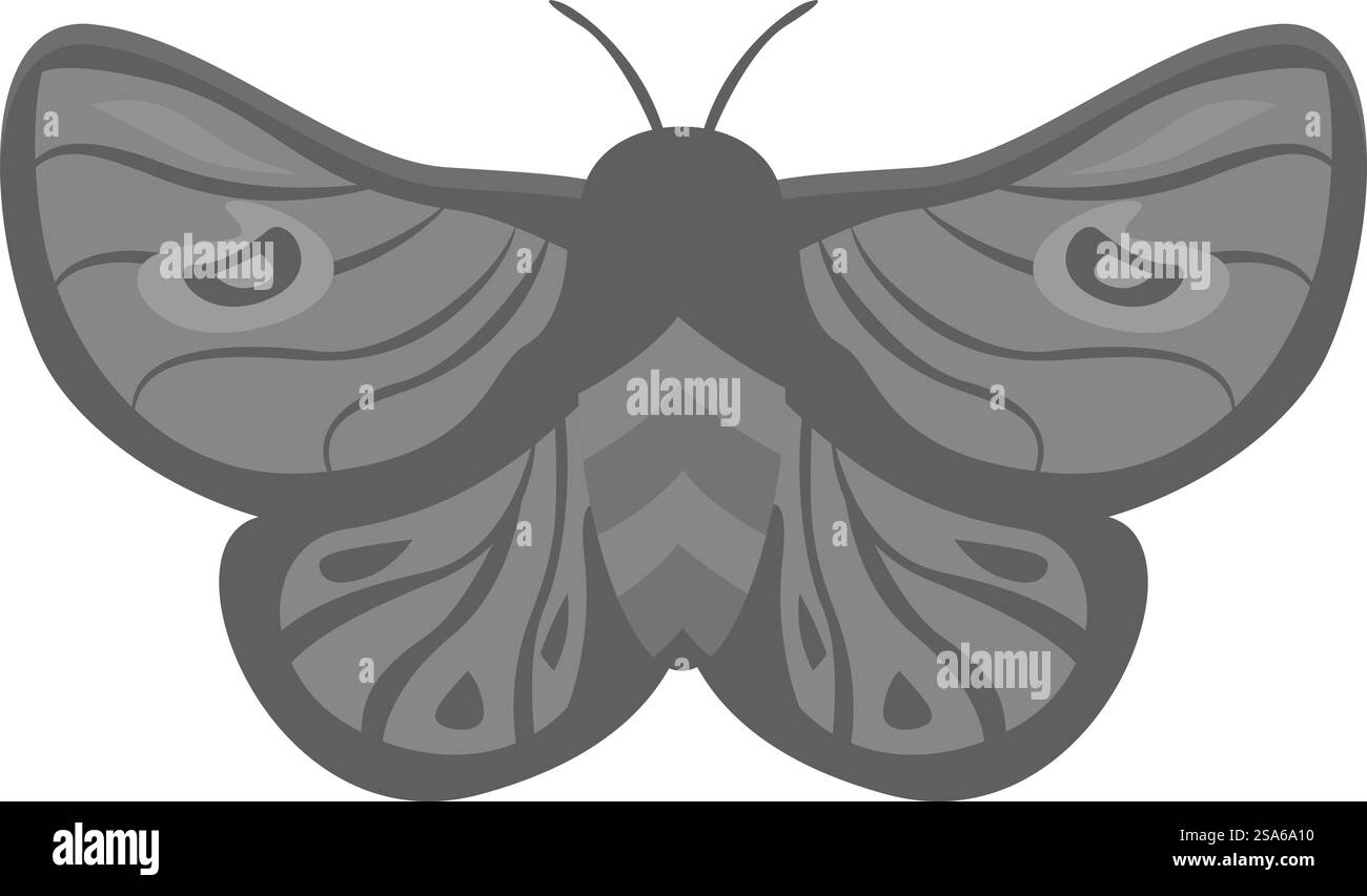 Big moth with beautiful pattern on its wings, isolated on white ...