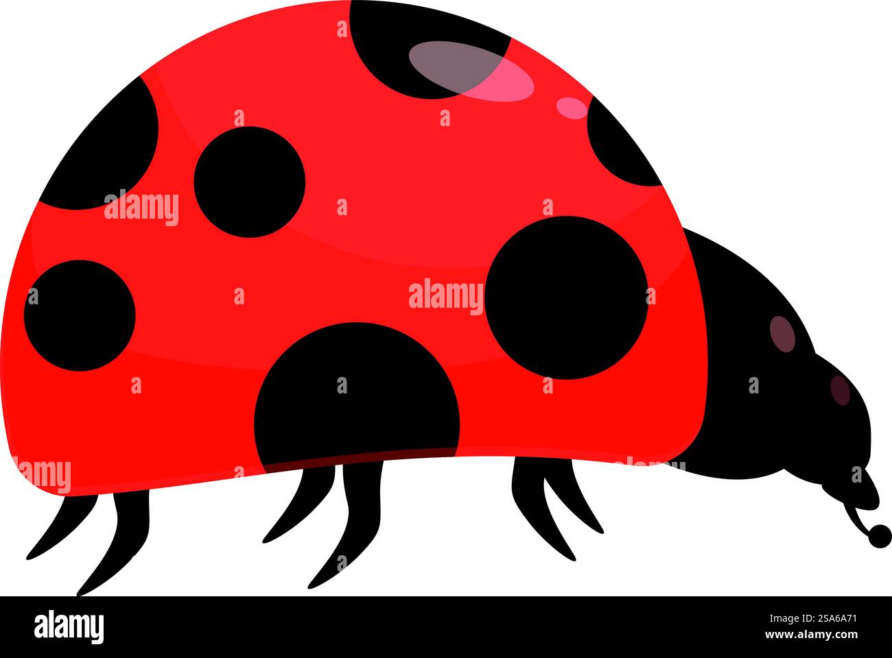 Red ladybug walking with black spots on its shell Stock Vector Image ...