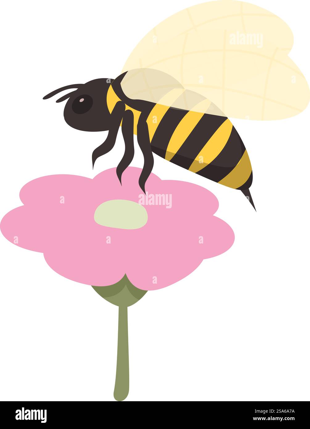 Bee with spread wings collecting pollen from a pink flower. Honey bee ...