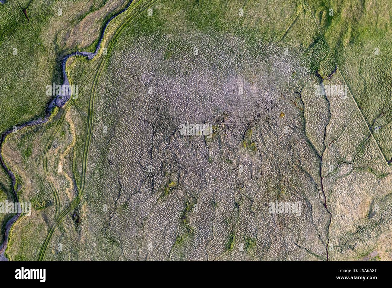 Aerial topdown drone view of green fields with grass patterns and small ...