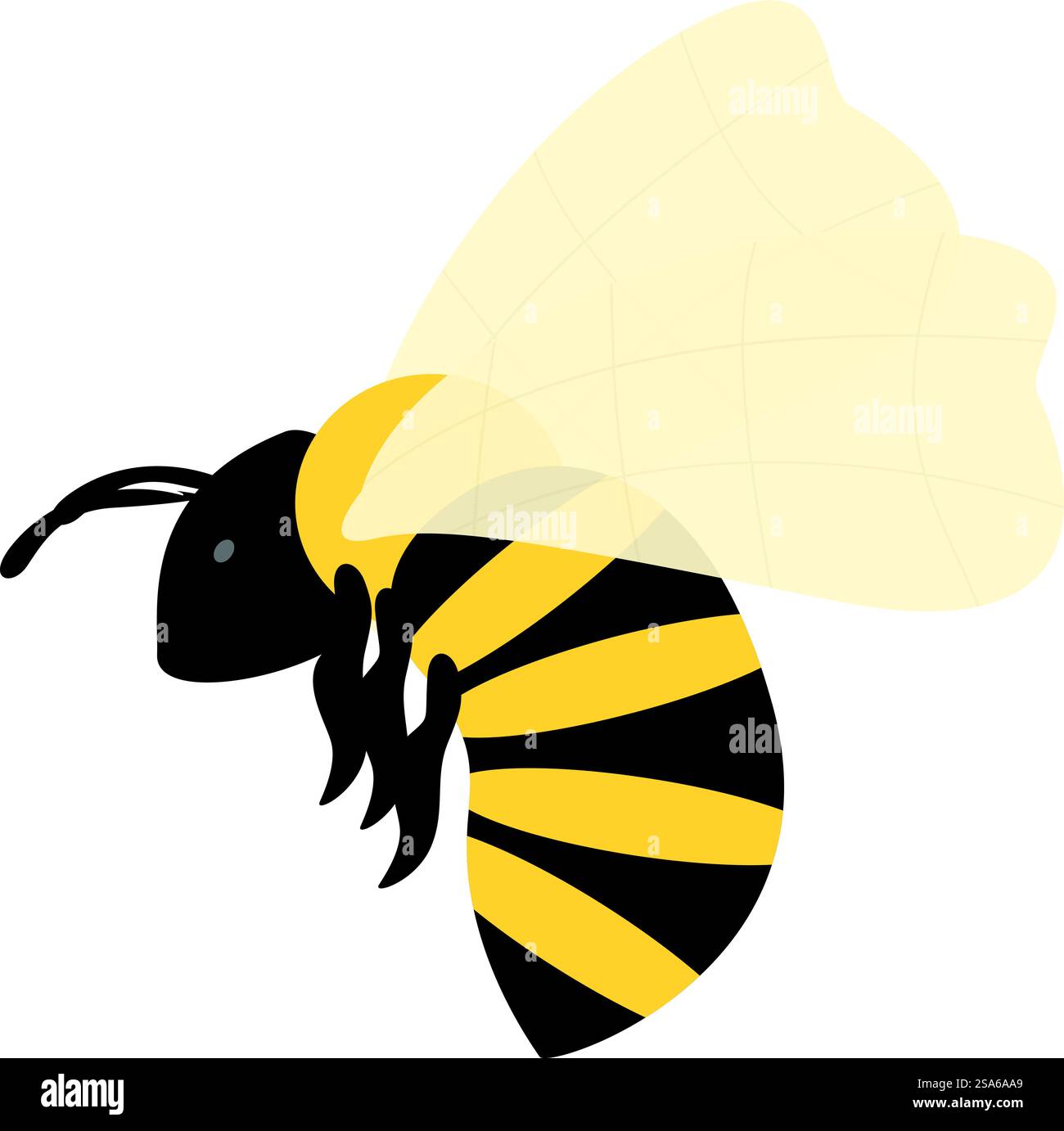 Honey bee flying with spread wings illustration. Honey bee is flying ...