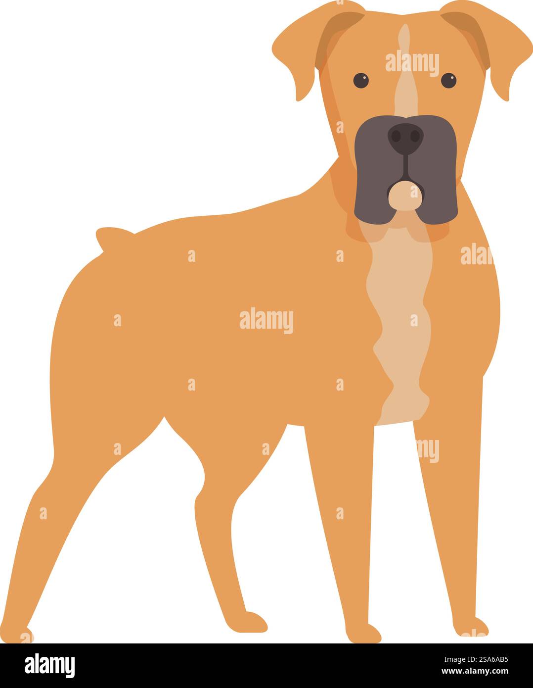 Illustration of a brown and white boxer dog standing with its ears up ...