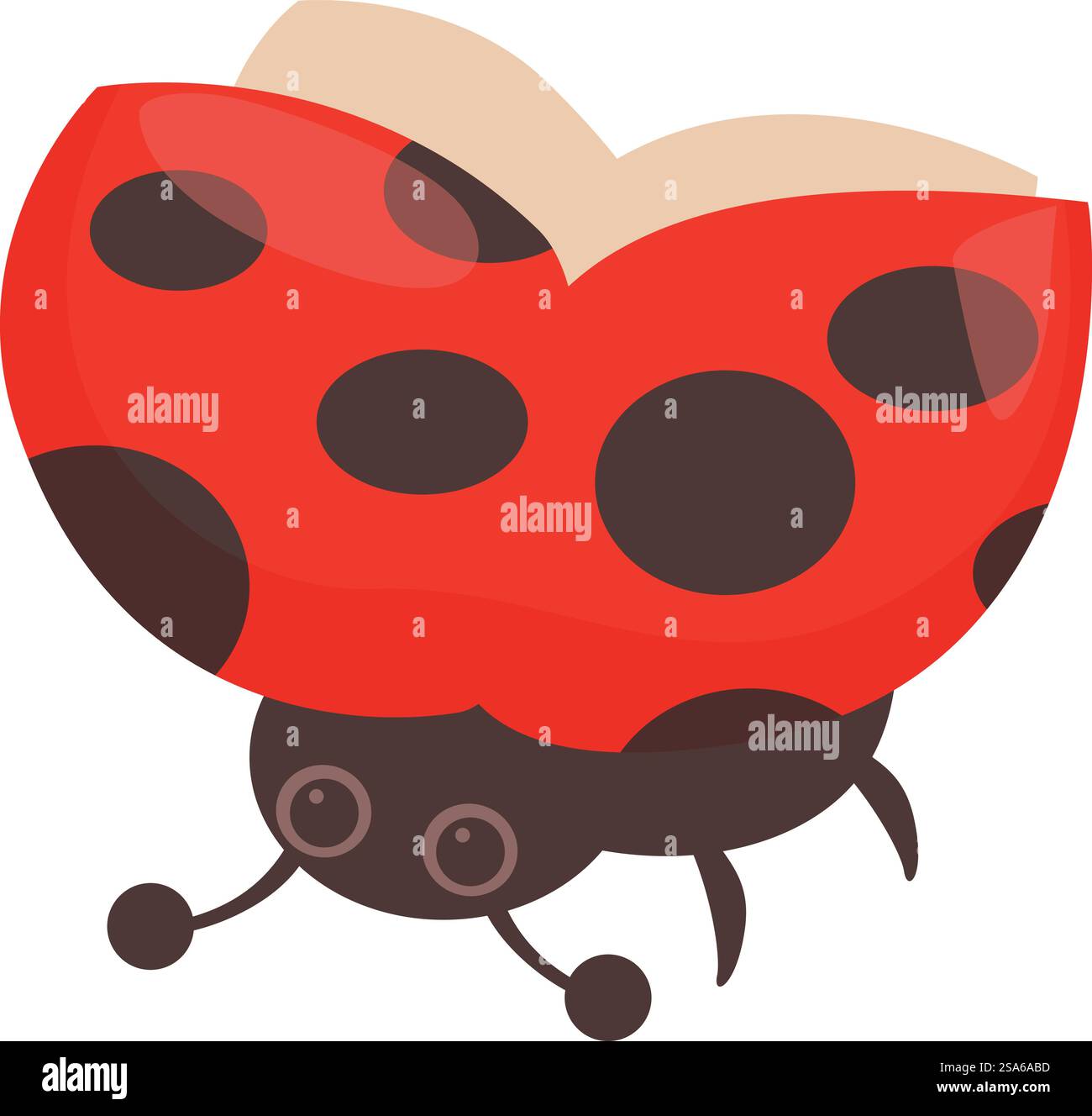 Red ladybug opening its spotted shell while flying in the air. Red ...