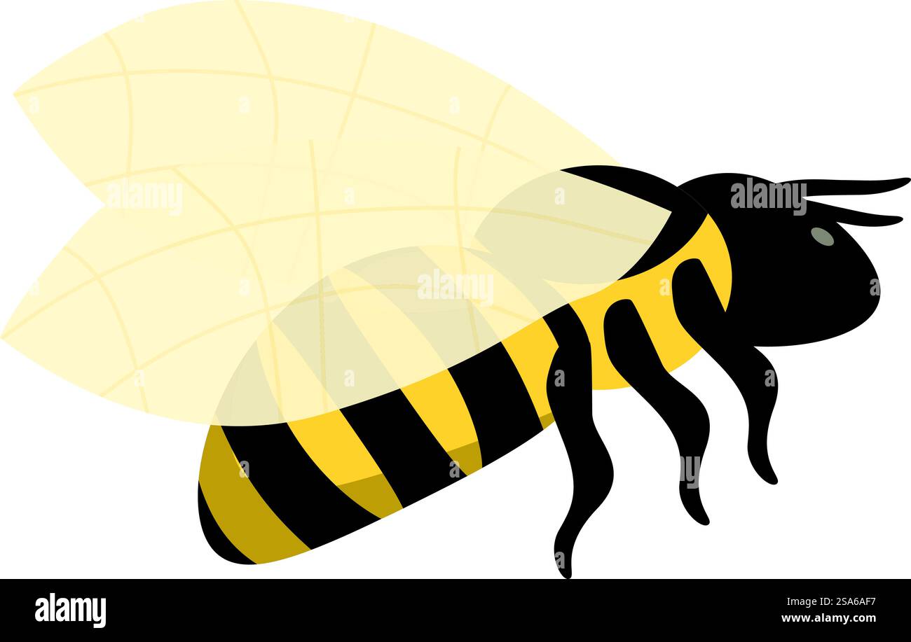Honey bee flying with spread wings illustration. Cartoon bee flying ...
