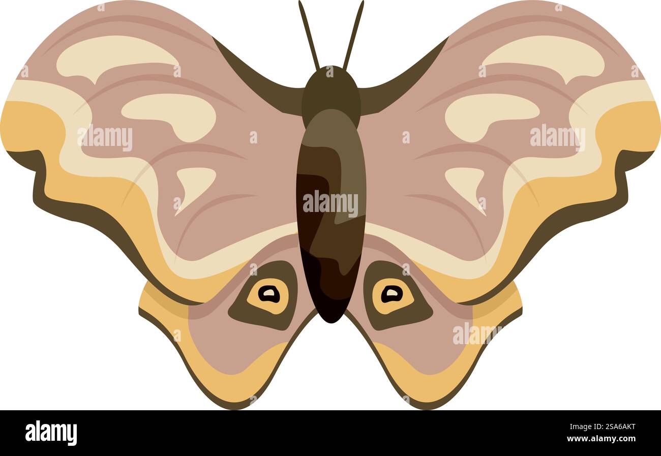 Beautiful brown butterfly is standing with open wings. Beautiful brown ...