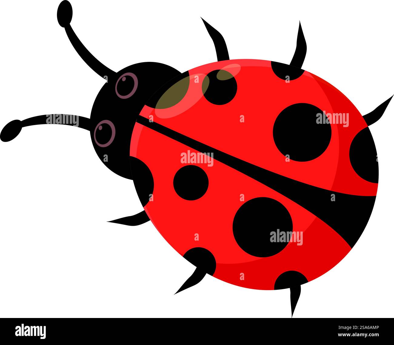 Red ladybug crawling with black spots on its back isolated on white ...