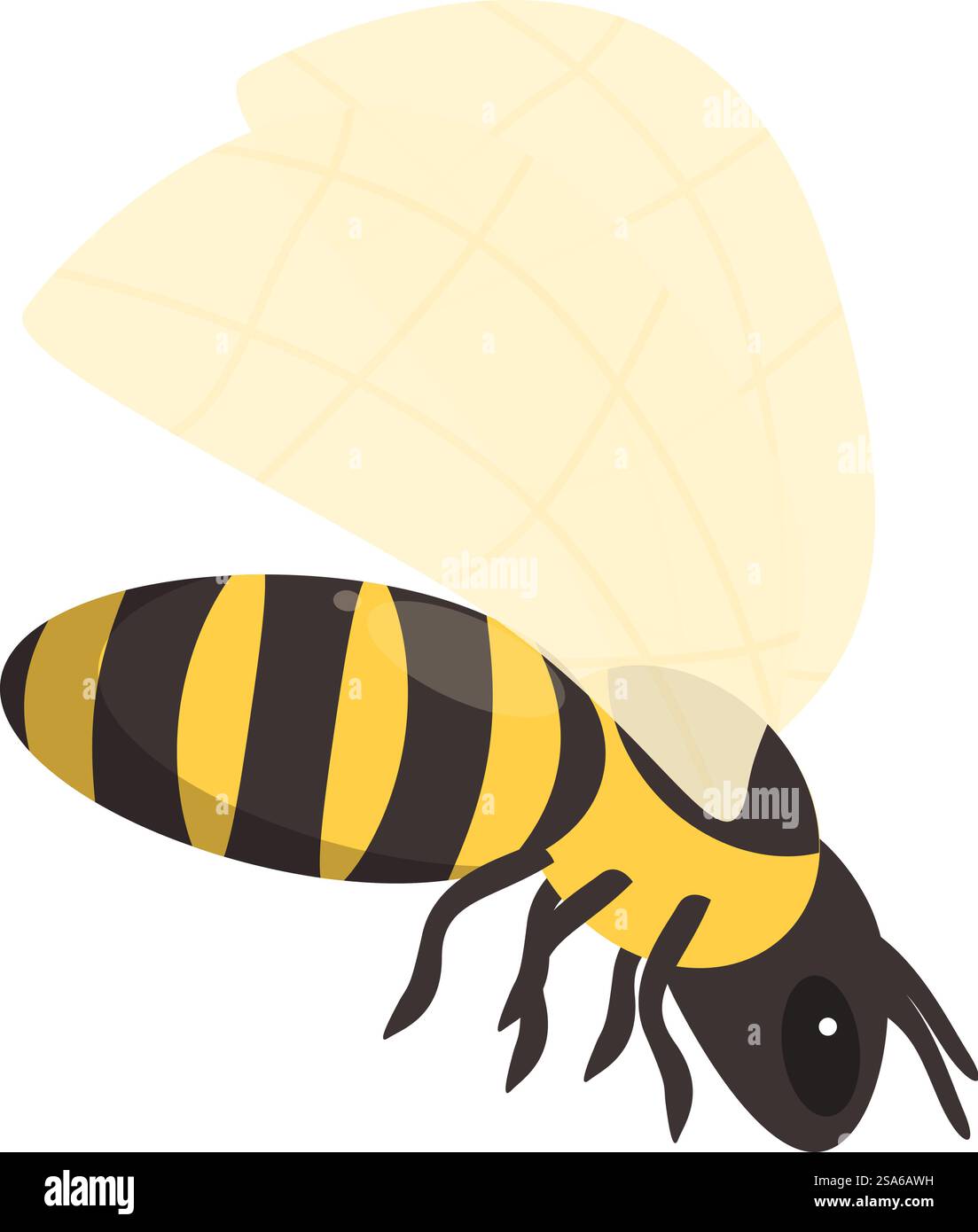 Cartoon honey bee flying with spread wings. Honey bee flying with ...