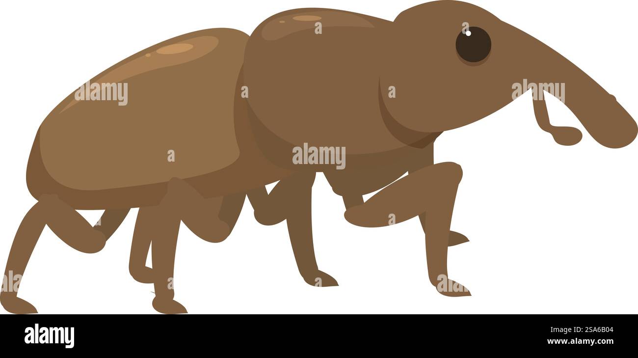 Brown weevil walking side view illustration. Brown weevil is taking a ...